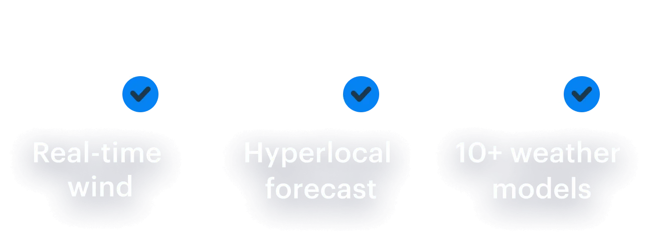 Windy Weather Charts Windy: Wind Map & Weather Forecast