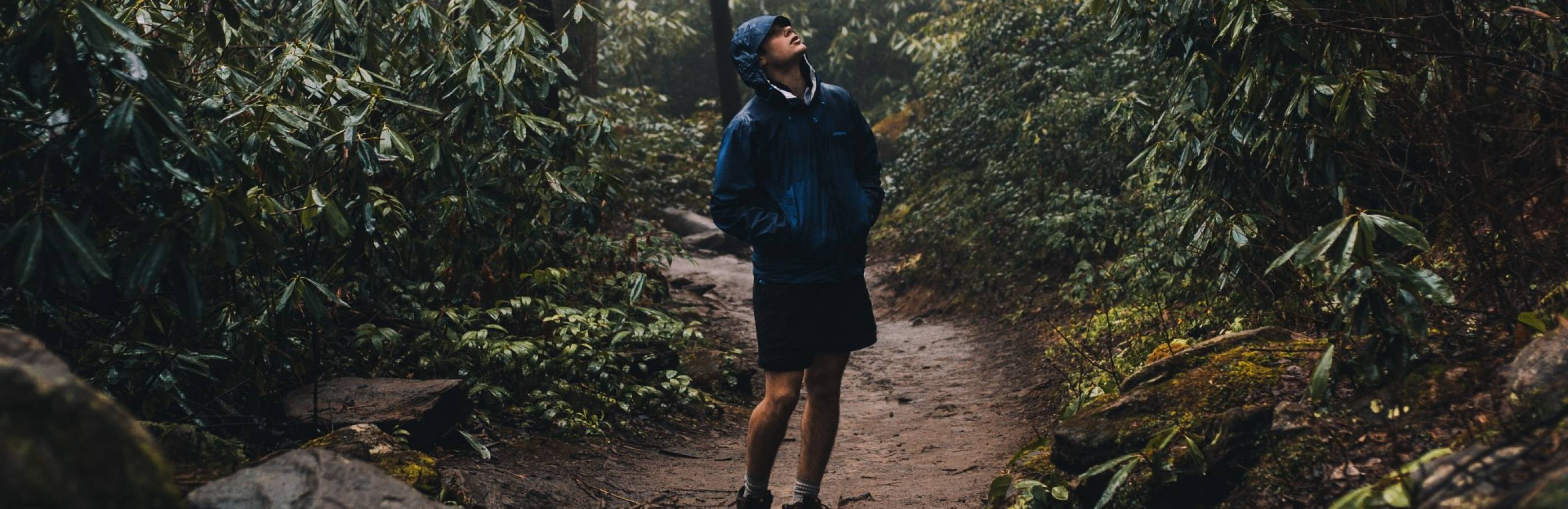How to enjoy hiking in the rain if you never did it before. Tips from ...