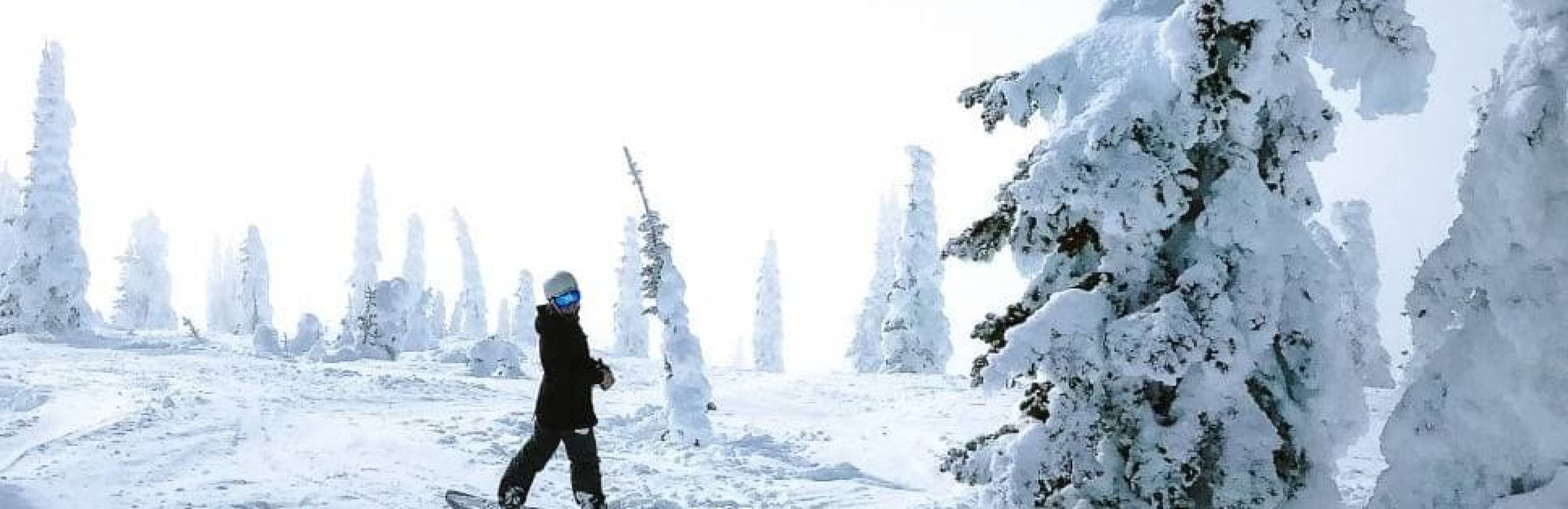 Tree wells or snow traps — quite dangerous - Windy.app