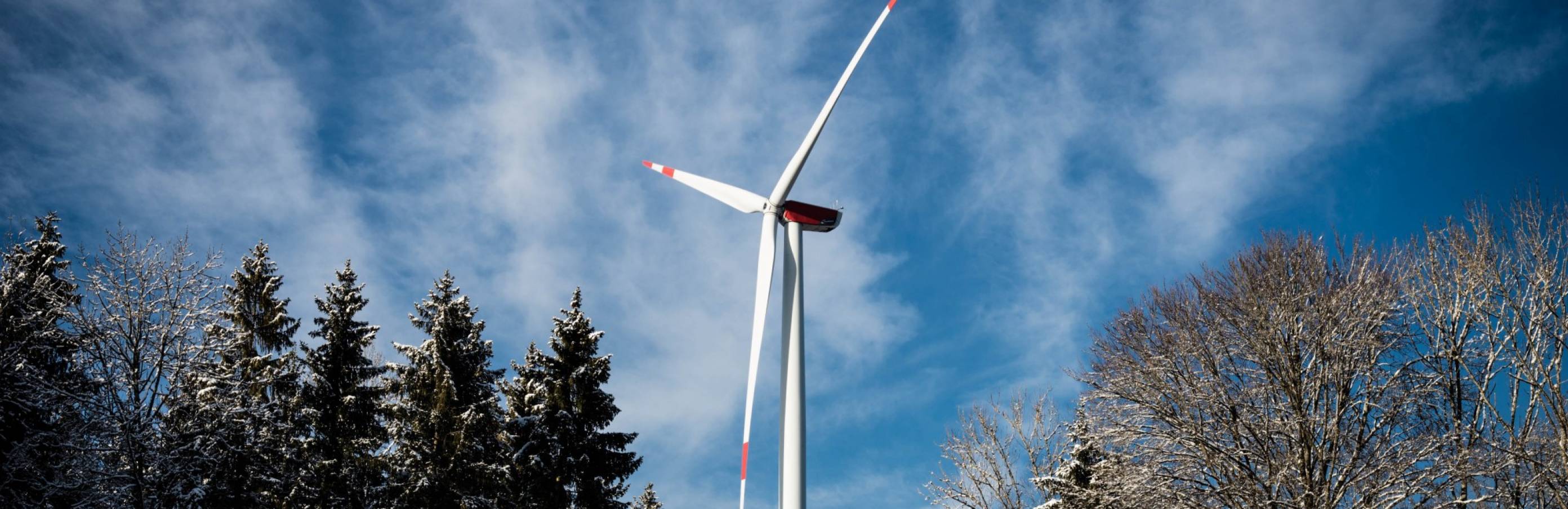 What is Bora (wind) and how does it form - Windy.app