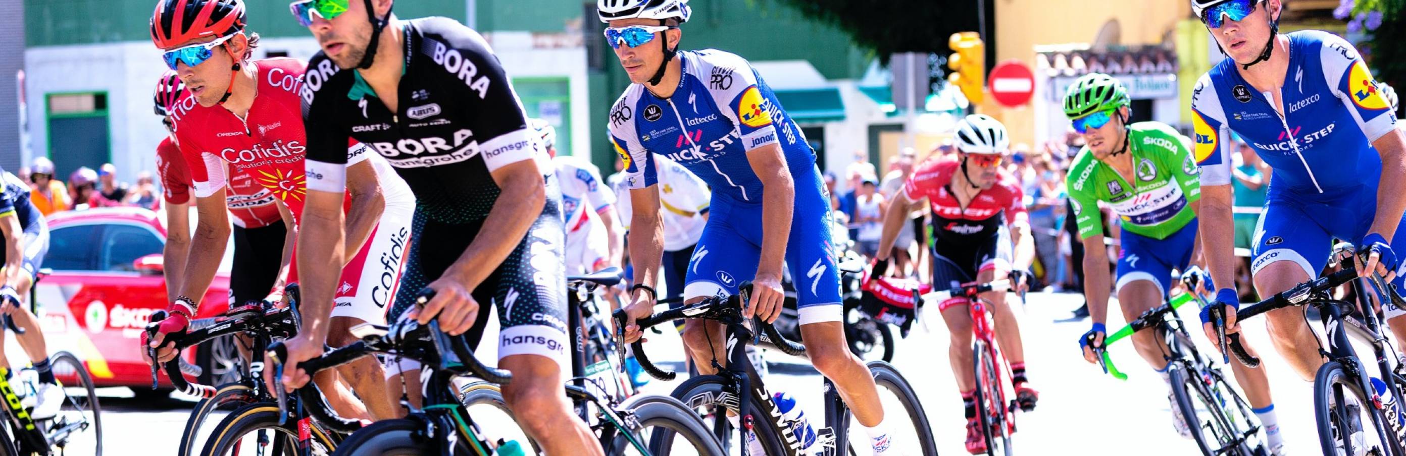 Windy.app in numbers - Windy.app