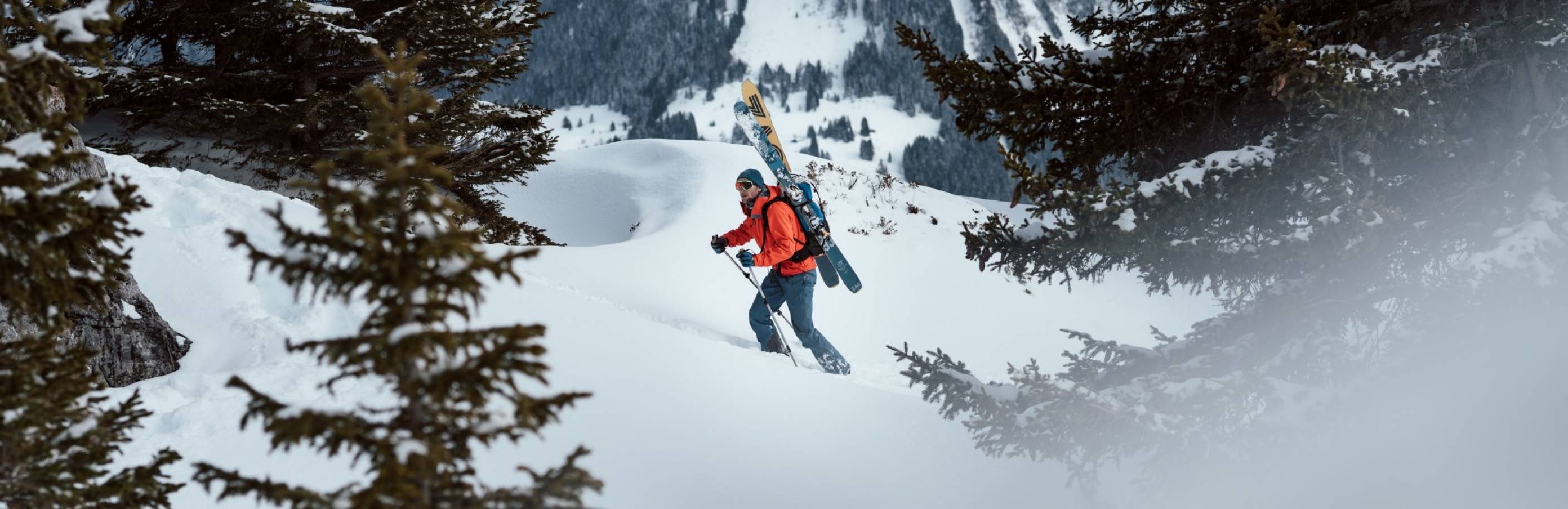 Windy.app – Live wind map & weather forecast