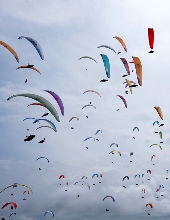 Windy.app – Live wind map & weather forecast