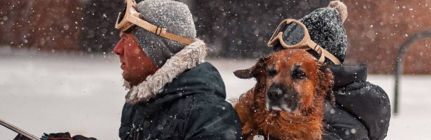 The Main Types Of Weather Warnings And How To Read Them Windyapp